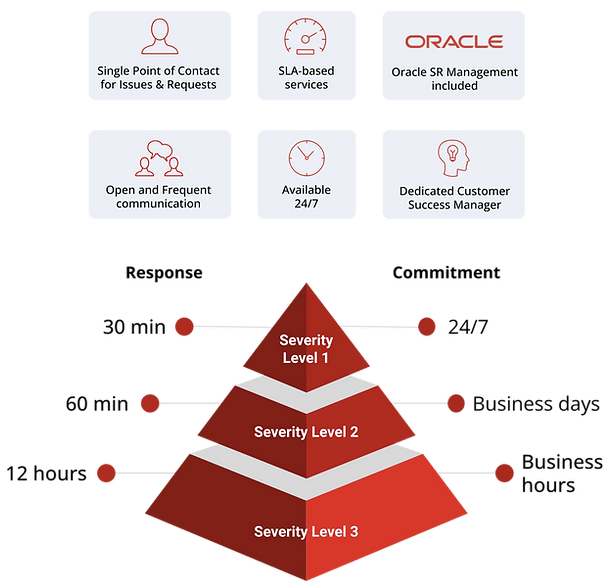 Agile Plm Services Maximize Oracle Agile Support And Managed Services